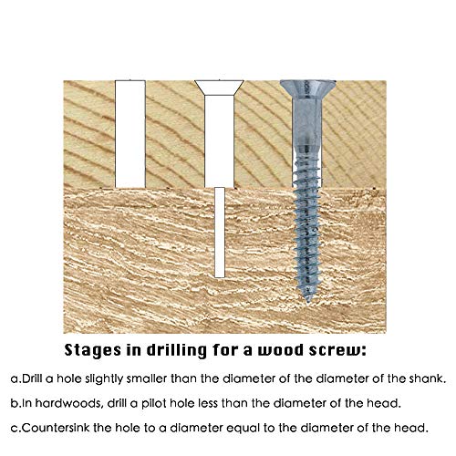 T.K.Excellent Wood Screw Phillips Flat Head #4#6#8#10#12 Screws Assortment Kit,1050 Pcs