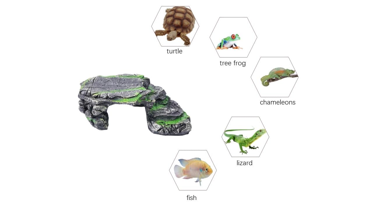 BIGWE Turtle Basking Platform for Aquarium Fish Tank,Designed for Aquatic Pets Such as Turtles, Reptiles, and Tortoises