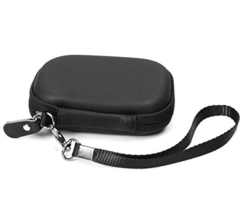 CaseSack case for Beats Flex Wireless Earbuds. Also for Powerbeats High-Performance Wireless Earbuds.