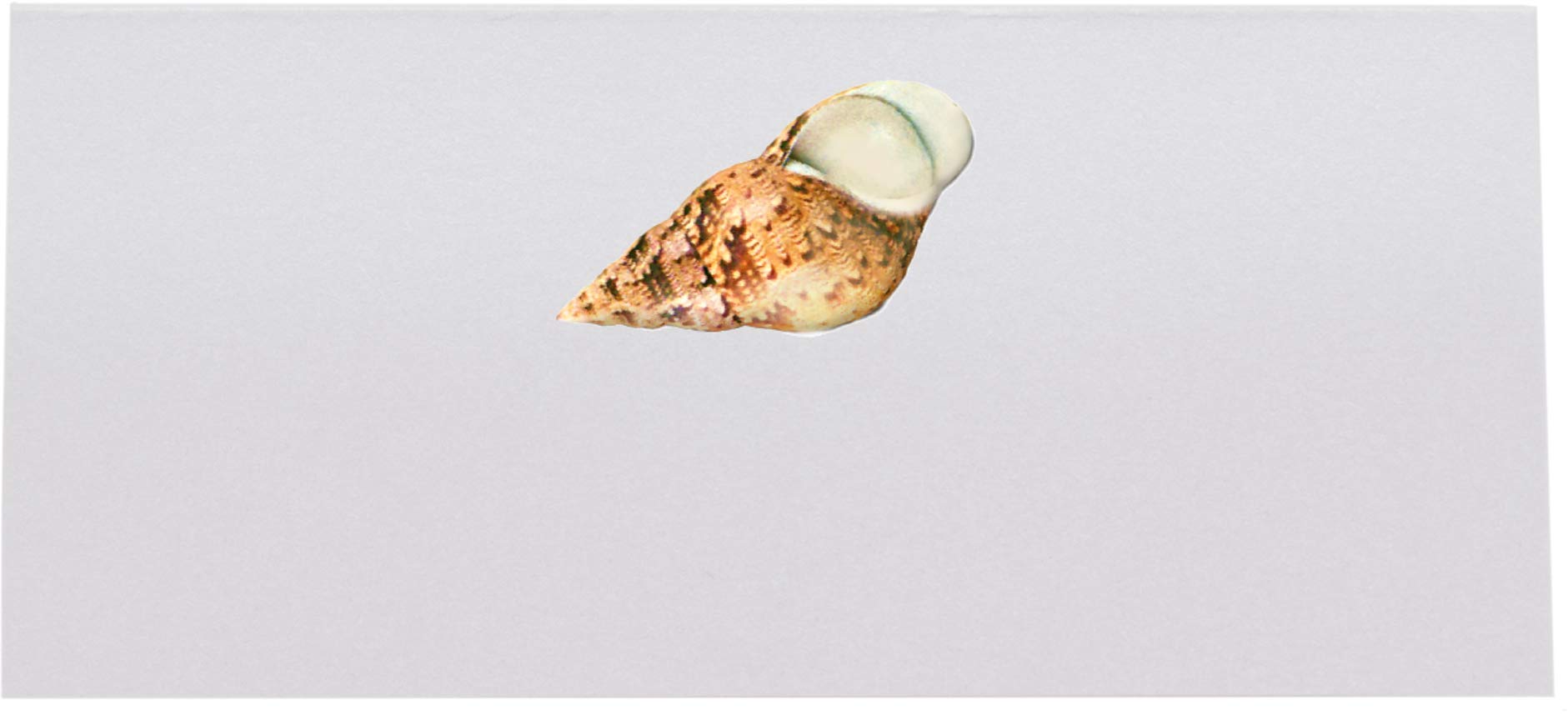 Assorted Seashell Printable Place Cards, Set of 60 (10 Sheets), Laser & Inkjet Printers - Wedding, Party, Dinner, and Special Events - Made in the USA