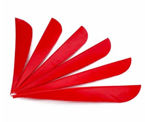 ACCMOS 50pc Archery Feathers 2/3/4/5 inch Turkey Feathers Real Feathers Dark Blue Green Red White Yellow Black Fluorescent Yellow Orange Purple Pink Archery Accessories Arrow Feathers