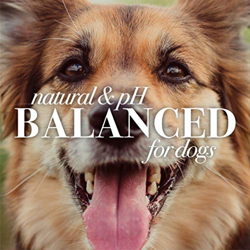 Burt's Bees for Pets Natural Ear Cleaner with Peppermint and Witch Hazel | Effective & Gentle Dog Ear Cleaning Solution for All Dogs And Puppies | Made in USA, 4 Oz