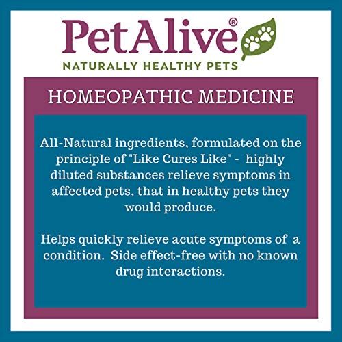 PetAlive Scare-D-Pet for Fear of Loud Noises in Dogs and Cats, 59 mL