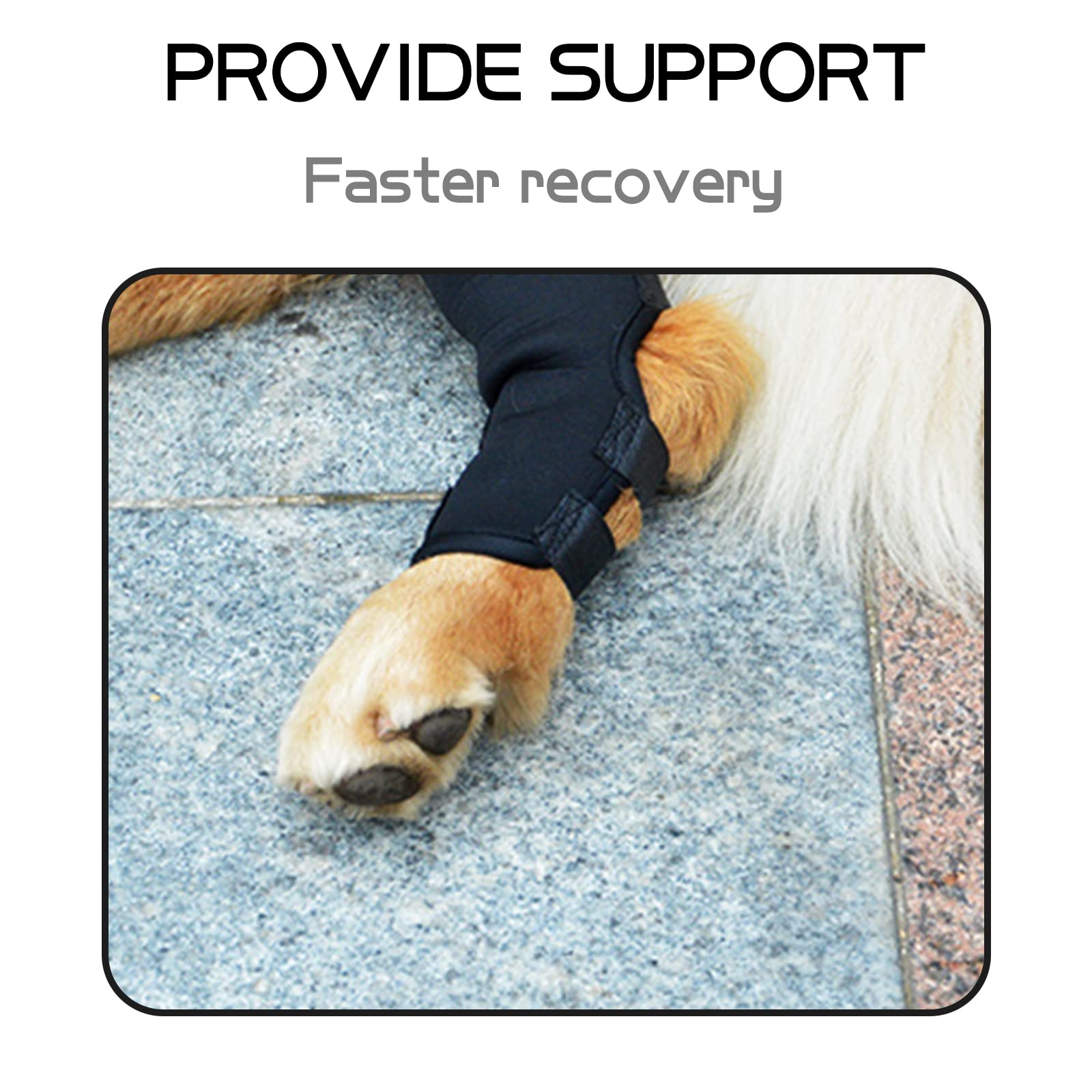 Dog Leg Brace for Small or Short Legs Canine Rear Hock Support, Helps Promote Healing and Prevents Injuries and Sprains Helps with Loss of Stability Caused by Arthritis