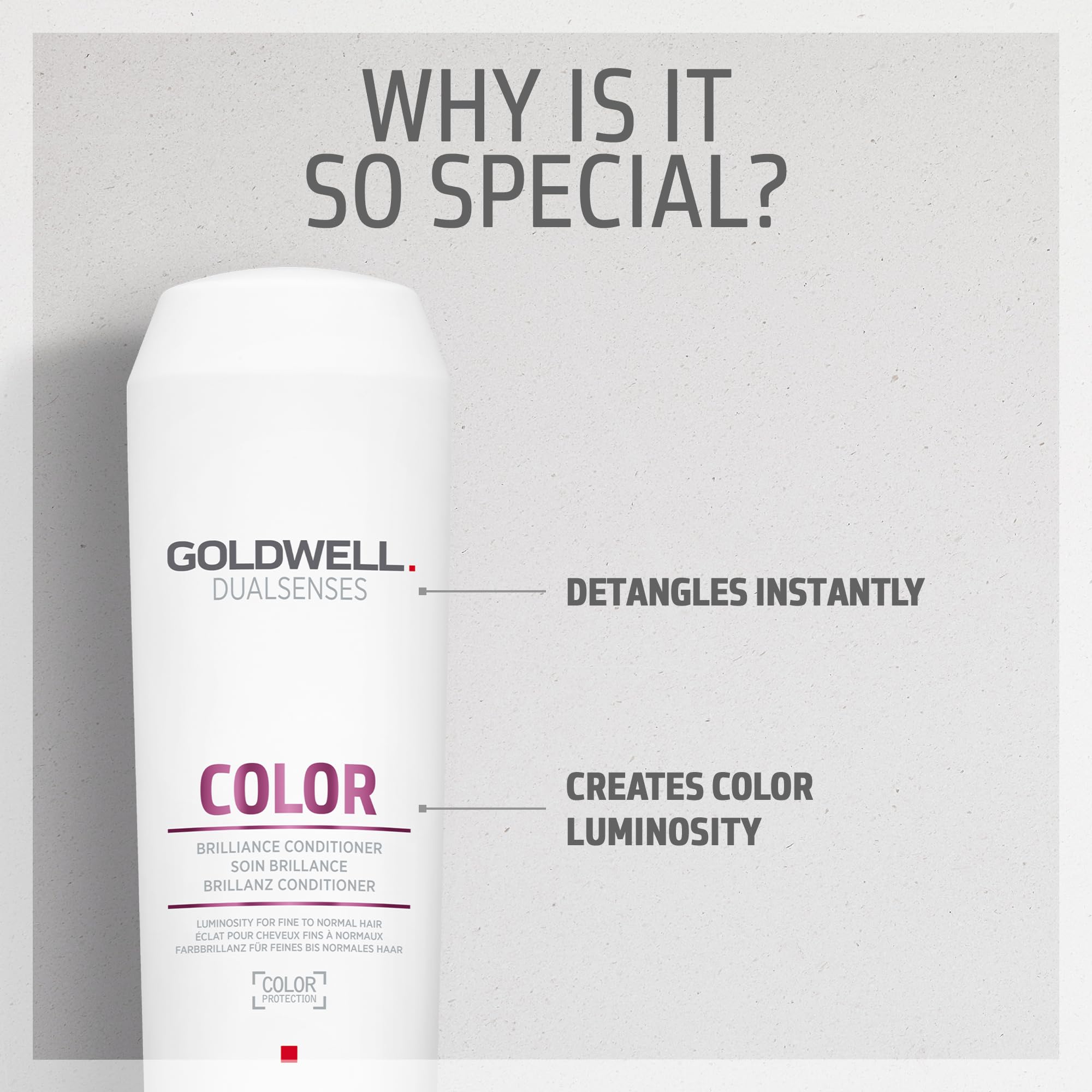Goldwell Dualsenses Color Brilliance Conditioner, 10.1 Fl Oz (Pack of 1)