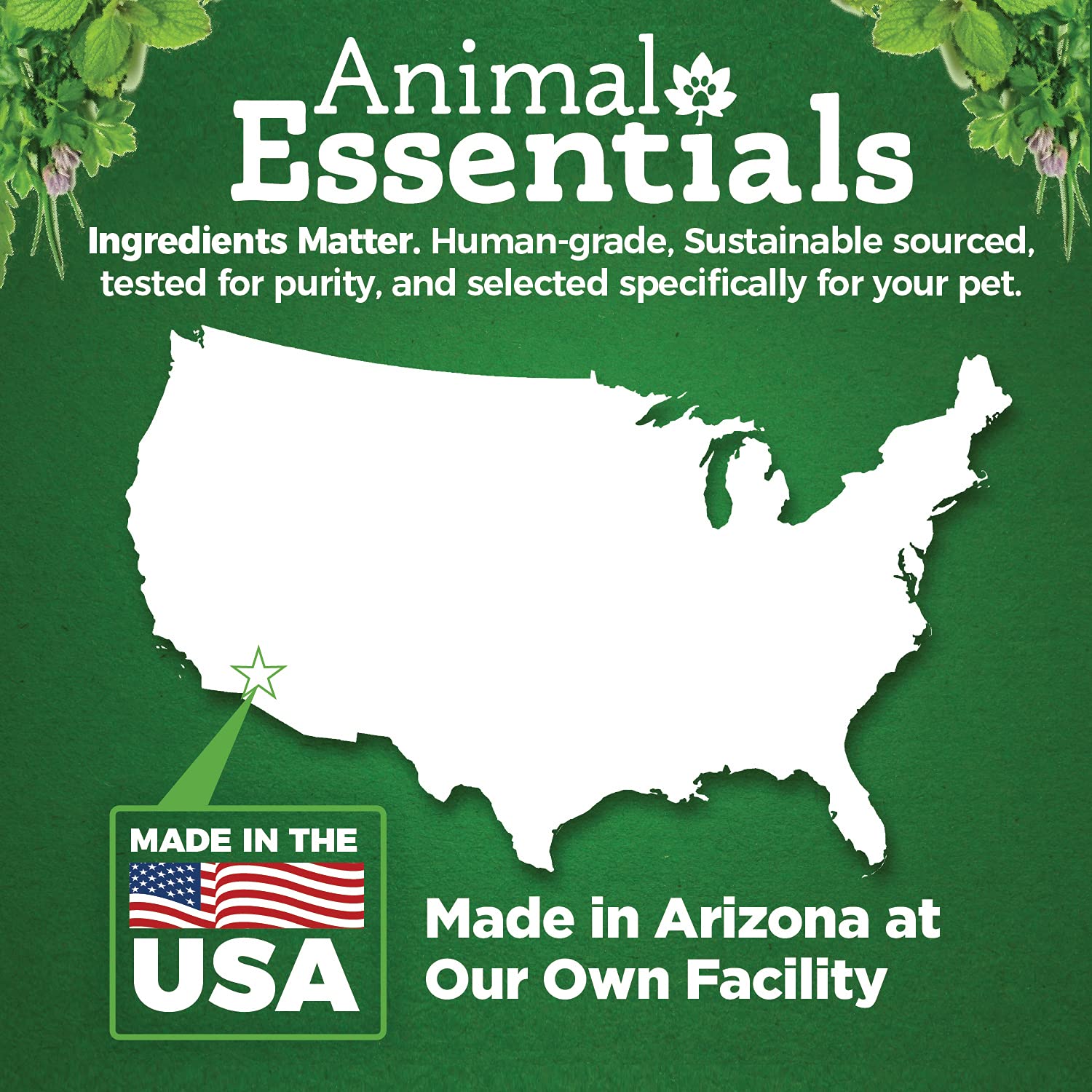 Animal Essentials Herbal Ear Rinse for Dogs & Cats - Ear Cleaner, Cleaning Solution, Ear Wash, Ear Cleanser, Ear Drops, Aloe Vera - 4 Fl Oz
