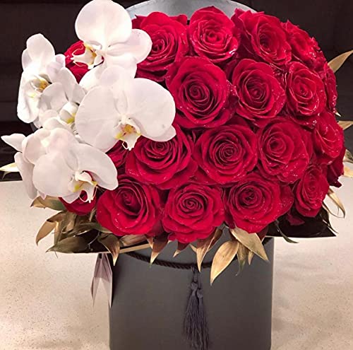 UNIKPACKAGING Premium Quality Round Flower Box, with Tassel, Gift Boxes for Luxury Flower and Gift Arrangements, Set of 3 pcs (Black)