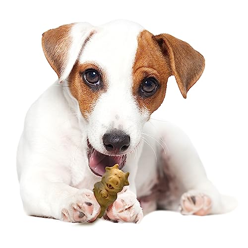 Nylabone Healthy Edibles Puppy Natural Long Lasting Dog Chew Treats Lamb & Apple Small/Regular (12 Count)