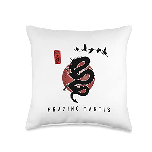 Praying Mantis Beginner Calligraphy Dragon Design Beginners Design Chinese Praying Mantis Style Throw Pillow, 16x16, Multicolor