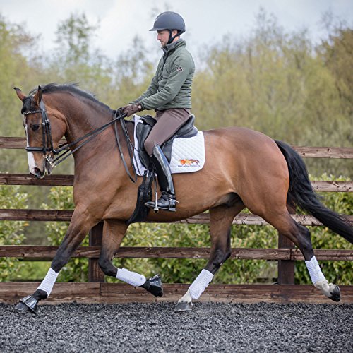 Equilibrium Stretch & Flex Flatwork Exercise Wrap Small White