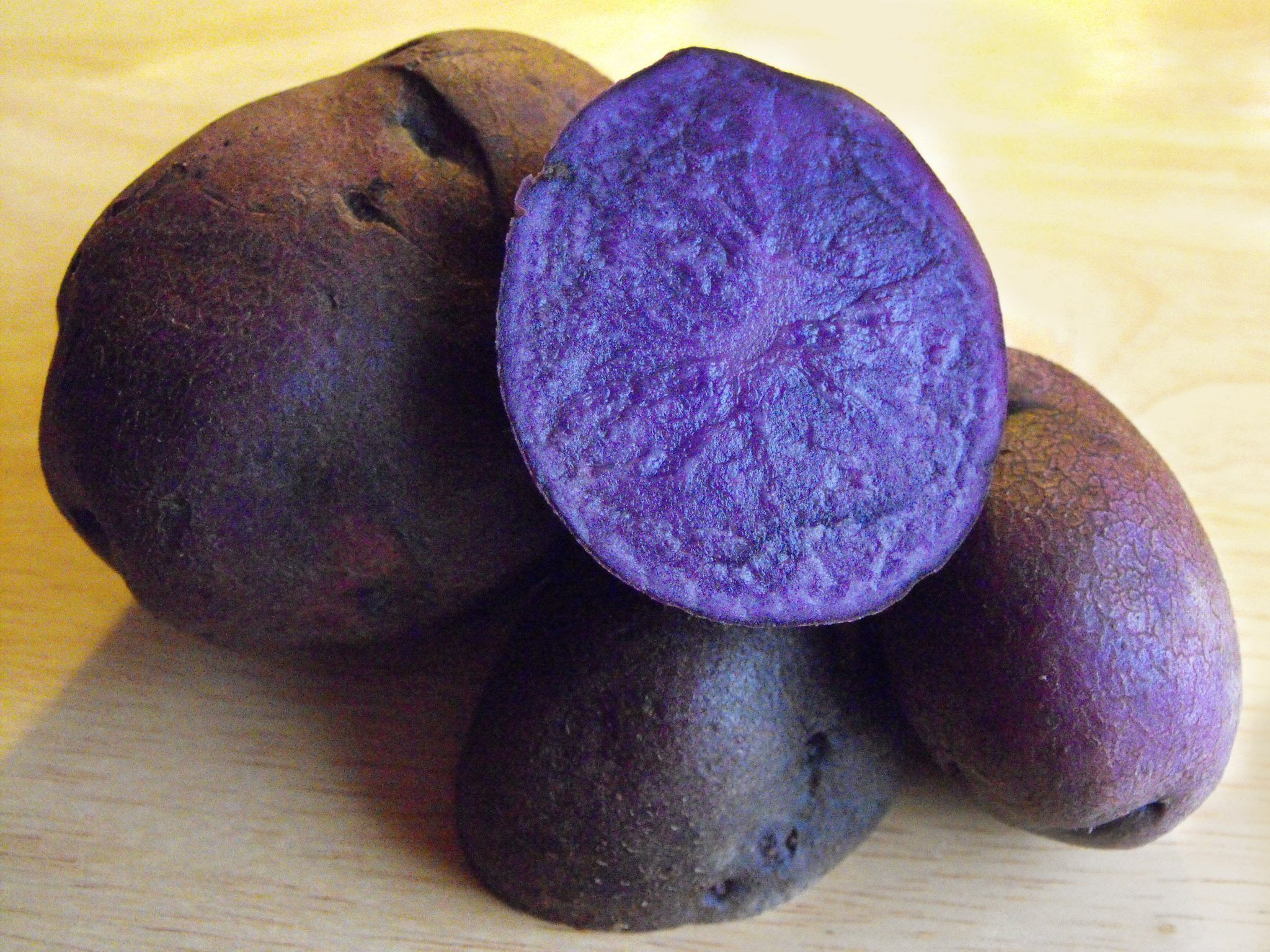Color-Mix-Seed-Potato-Mix-Speciality-Potato-Blue-Red-Yellow-White-Excellent (5 LBS)