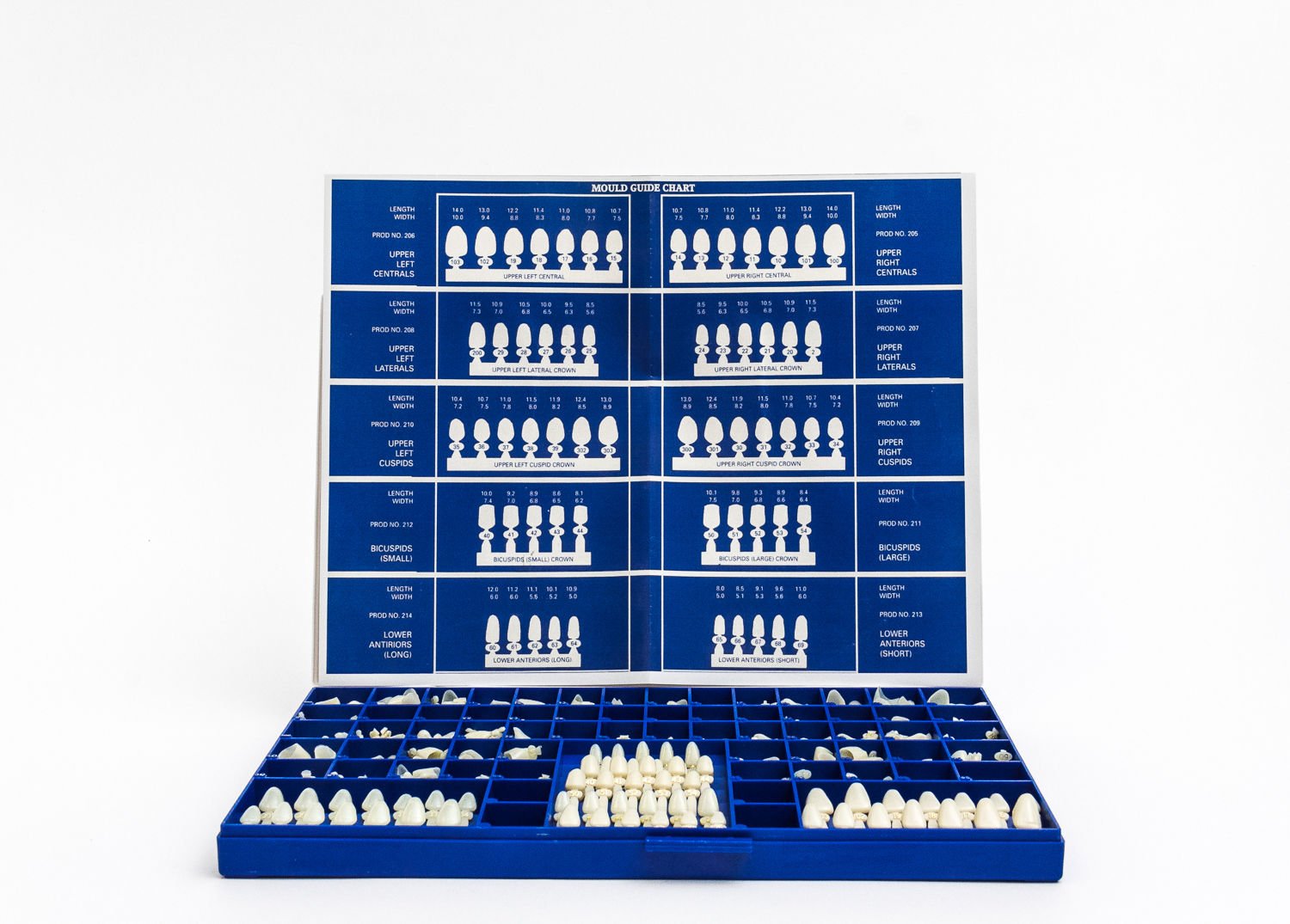 Polycarbonate Temporary Dental Crowns Kit 360 pcs with Crown Mold Guides