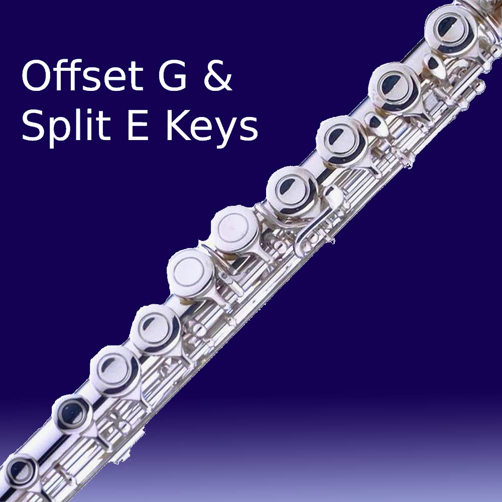 Cecilio Closed Hole C Flute - Musical Instrument, Kids Beginner/Intermediate Flute in Band & Orchestra, Nickel 