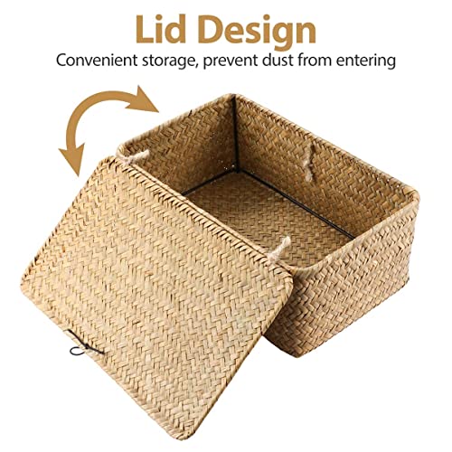 IMIKEYA Handwoven Seagrass Storage Bins, 9X5X3 Inch Basket with Lid Lightweight Storage Box for Nursery Hampers Home Shelves Bathroom Organizer Bins