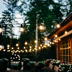 G40 Replacement Bulbs for Outdoor String Lights, 16 Pack Clear Globe Light Bulbs, Waterproof String Light Bulbs Replacement for Indoor Outdoor Garden Patio Party Decorations, Lighting Facts