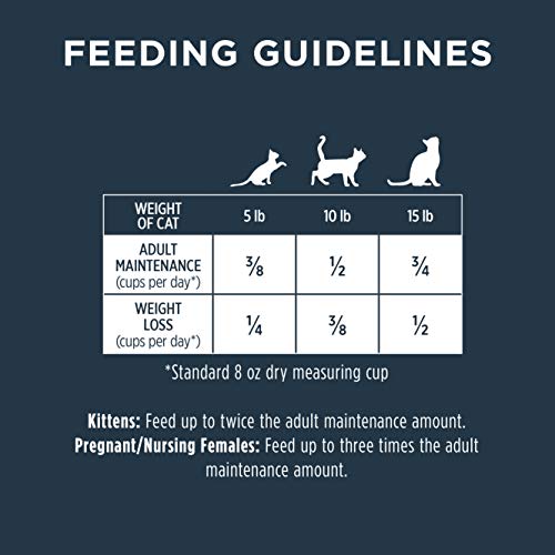 Instinct Raw Boost Grain Free Recipe with Real Chicken Natural Dry Cat Food, 10 lb. Bag