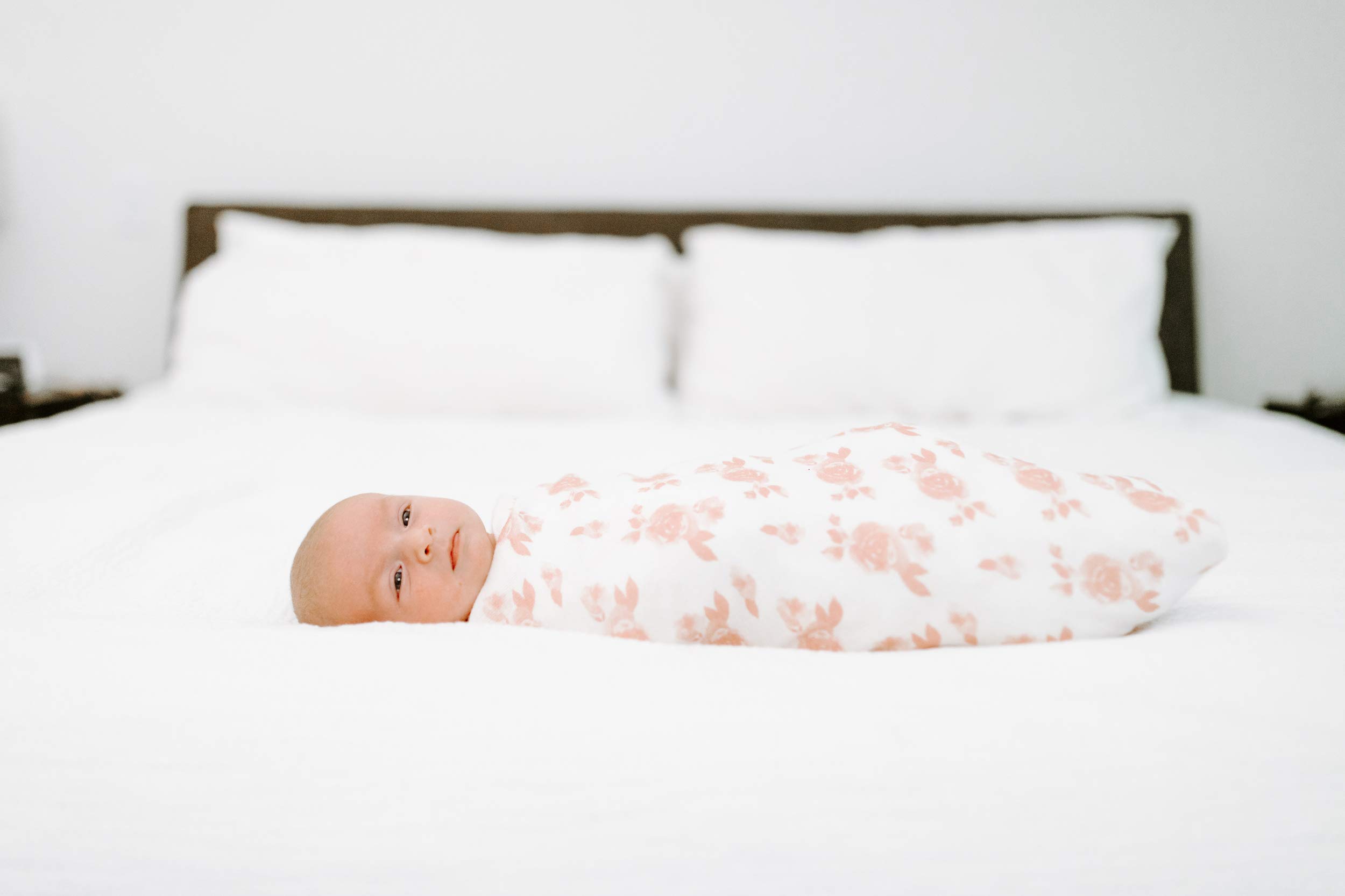 aden + anais Snuggle Knit Baby Swaddle Blanket for Newborn Girl and Boy, Versatile Stroller Cover, Burp Cloth, Nursing Shield, 47 x 47 Inch, Rosettes