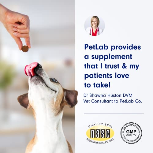 PetLab Co. Itch Relief Chews - Support for Dry, Occasionally Itchy Skin & Coats - Formulated with Turmeric, Omega 3 & 6, Honey - Packaging May Vary