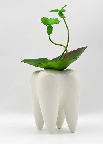 MONMOB Ceramic Tooth Shaped Pen Pencil Toothbrush Holder Pot Succulent Plant Pot Home Office School Dentists Gift (3.9")
