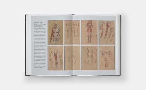 Basic Human Anatomy: An Essential Visual Guide for Artists