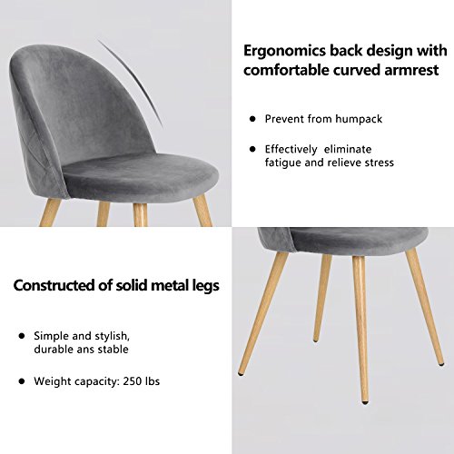 GreenForest Dining Chairs Set of 2, Modern Velvet Kitchen Room Chair Upholstered Accent Leisure Side Chairs with Metal Legs, Gray