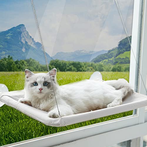 cat Hammock Perch cat Window Hammock Bed seat Shelf for Indoor Cats Resting Seat Safety Holds Two Cats, Cat Perch Safety Resting Shelf 360°Sunny Seat Space Saving Cat Beds (Premium Silver Gray)