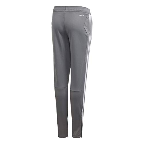 adidas Girls Tiro 19 Training Pants Grey/White X-Small