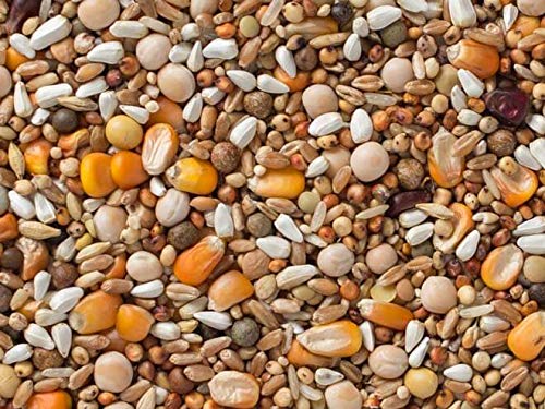 Premium 22 Pigeon Mix (13.25%) 20 lbs