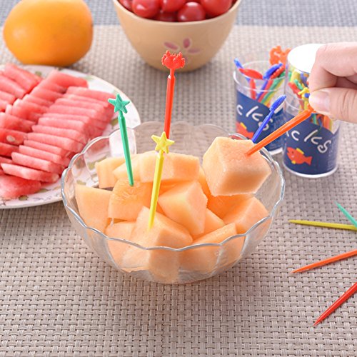 MXY Colorful Food Fruit Picks for Bento Box Cake Snack Forks Resuable Cute Design Hippo Fish Crab Turtle Starfish Set of 20 Pieces Pack of 2 Round Boxes