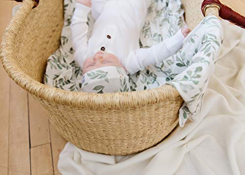 Large Premium Knit Baby Swaddle Receiving Blanket"Fern" by Copper Pearl