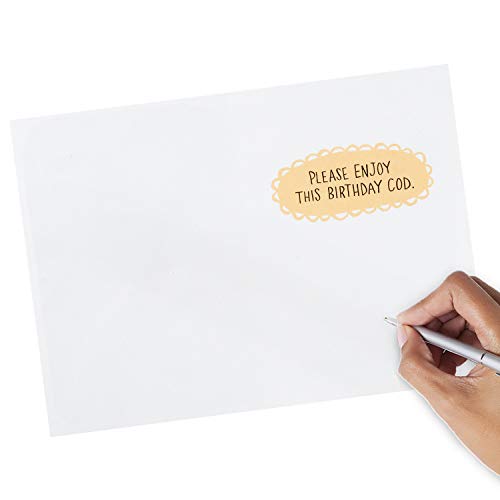 Hallmark Shoebox Funny Birthday Card Assortment (8 Cards with Envelopes) (2199RZG1003)