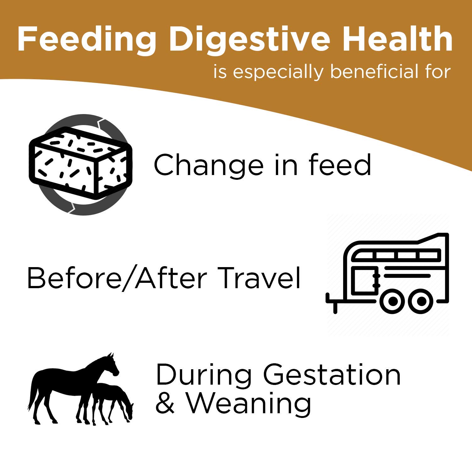 Formula 707 Digestive Health Equine Supplement, 4lb Bucket β Probiotics, Prebiotics and Digestive Enzymes for Horses