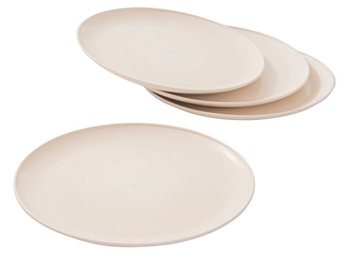EVO Sustainable Goods 10" Plate, Set of Four, White