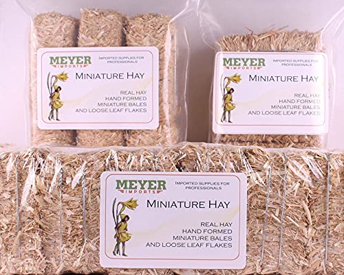 Meyer Imports Mini Hay Bales - Small - (Pack of 3) Small Decorative Hay β for Craft/Dollhouse/Farm/Halloween/Table Decoration - 2.5 x 1 Inches Each