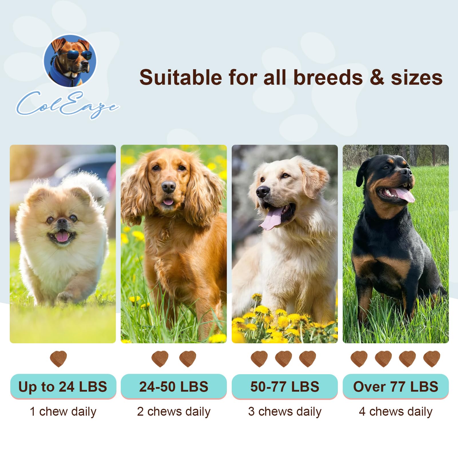 ColEaze Multivitamin Dog Supplement, 5 Essential Vitamins Treats for Dogs, Glucosamine for Joint Support