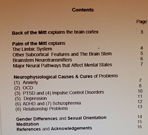 Handy Brain Model B-1.2 (adult medium)