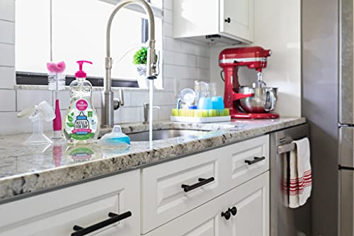 Dish Bundle by Dapple Baby Includes Baby Bottle & Dish Liquid by Dapple Baby Travel Size 3 Fl Oz, and 16.9 Fl Oz Bottle, 2 ct., Fragrance-Free - Plant-Based - Hypoallergenic