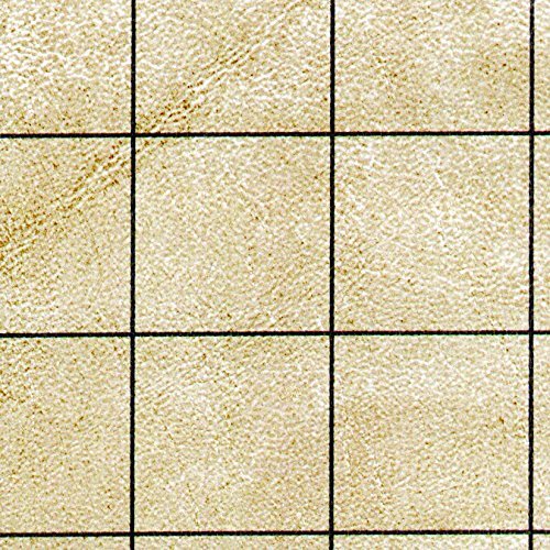 Chessex Mondomat Double-Sided Reversible Role Playing Play Mat, 54 x 102 Inches