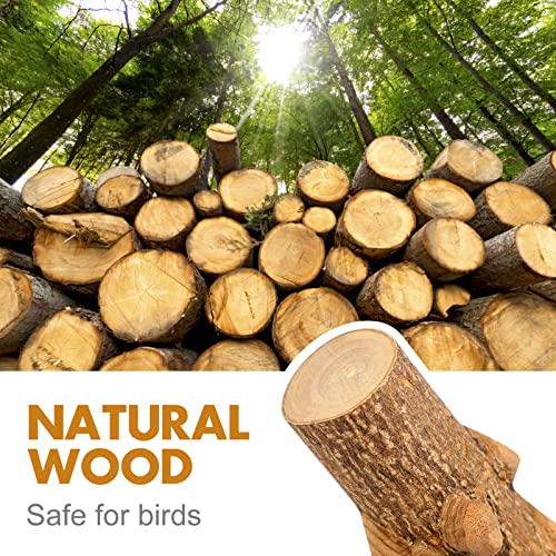 Balacoo Bird Stand Perch Bird Training Stand: Anti-Slip Design: The Surface is Rough, The Bird can Stand Comfortably and Safely, and not Easy to Slip. Paw Grinding Perch