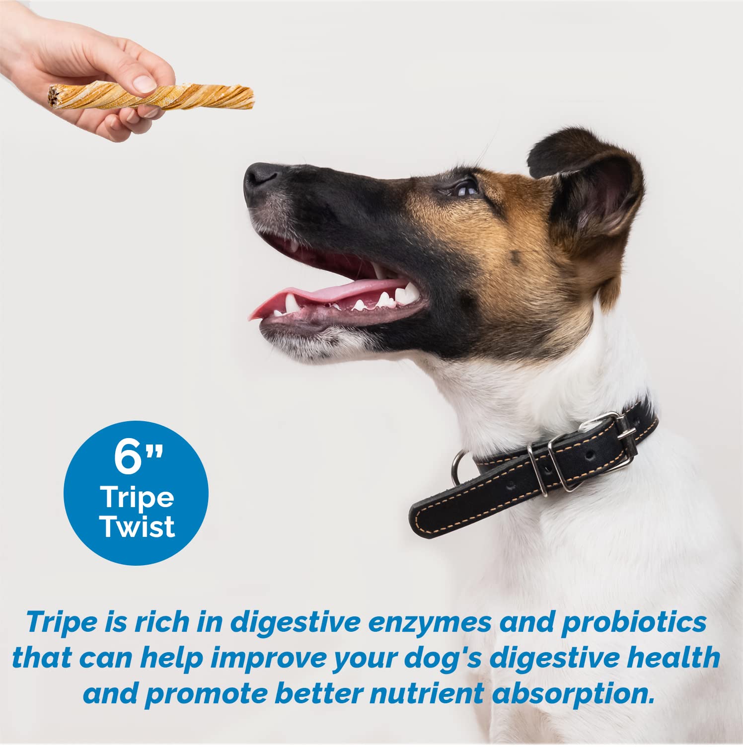 Beef Tripe Sticks for Dogs (6" - 25 Count) All Natural Dog Treats from Free Range, Grass Fed Beef Dog Chews Safe & Easily Digestible โ Lasting Twist Sticks - Great for Puppies & Senior Dogs