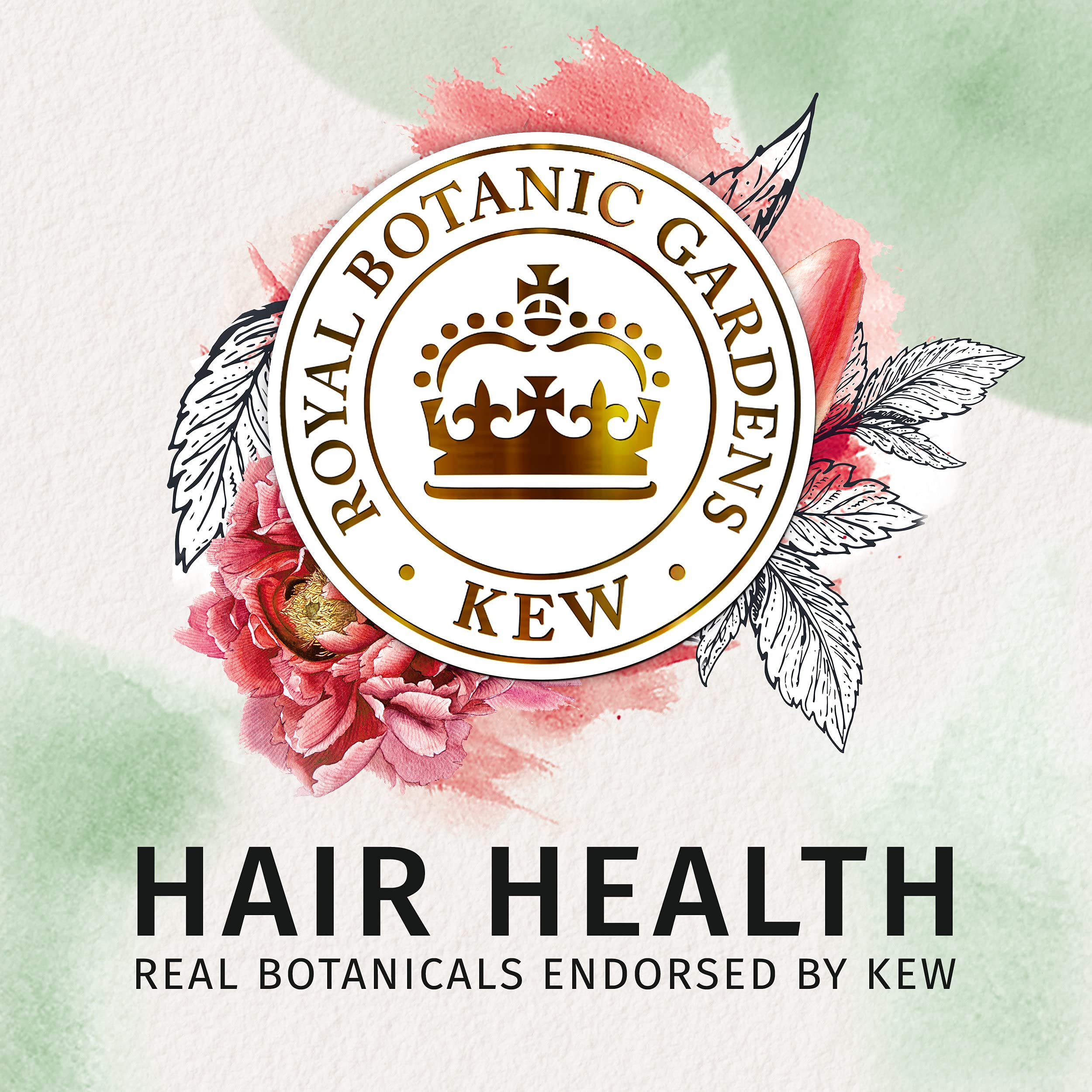 Herbal Essences bio:renew Cucumber & Green Tea Sheer Moisture Shampoo, 13.5 fl oz (Packaging May Vary)