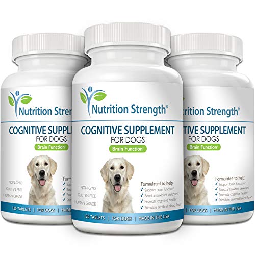 Nutrition Strength Cognitive Support for Dogs, Promotes Dog Brain Health, Mental Support for Old Dogs, Supplement for Dogs with Cognitive Difficulties, 120 Chewable Tablets