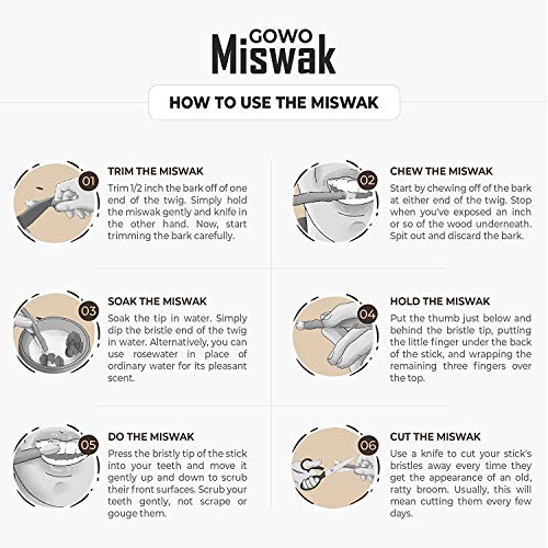GOWO 3 Pack Miswak Sticks and Holders - Natural Teeth Whitening Kit - Natural Toothbrush - No Toothpaste Needed - Herbal Teeth Whitener and Breath Freshener - (Includes 3 Sticks and 3 Holders)