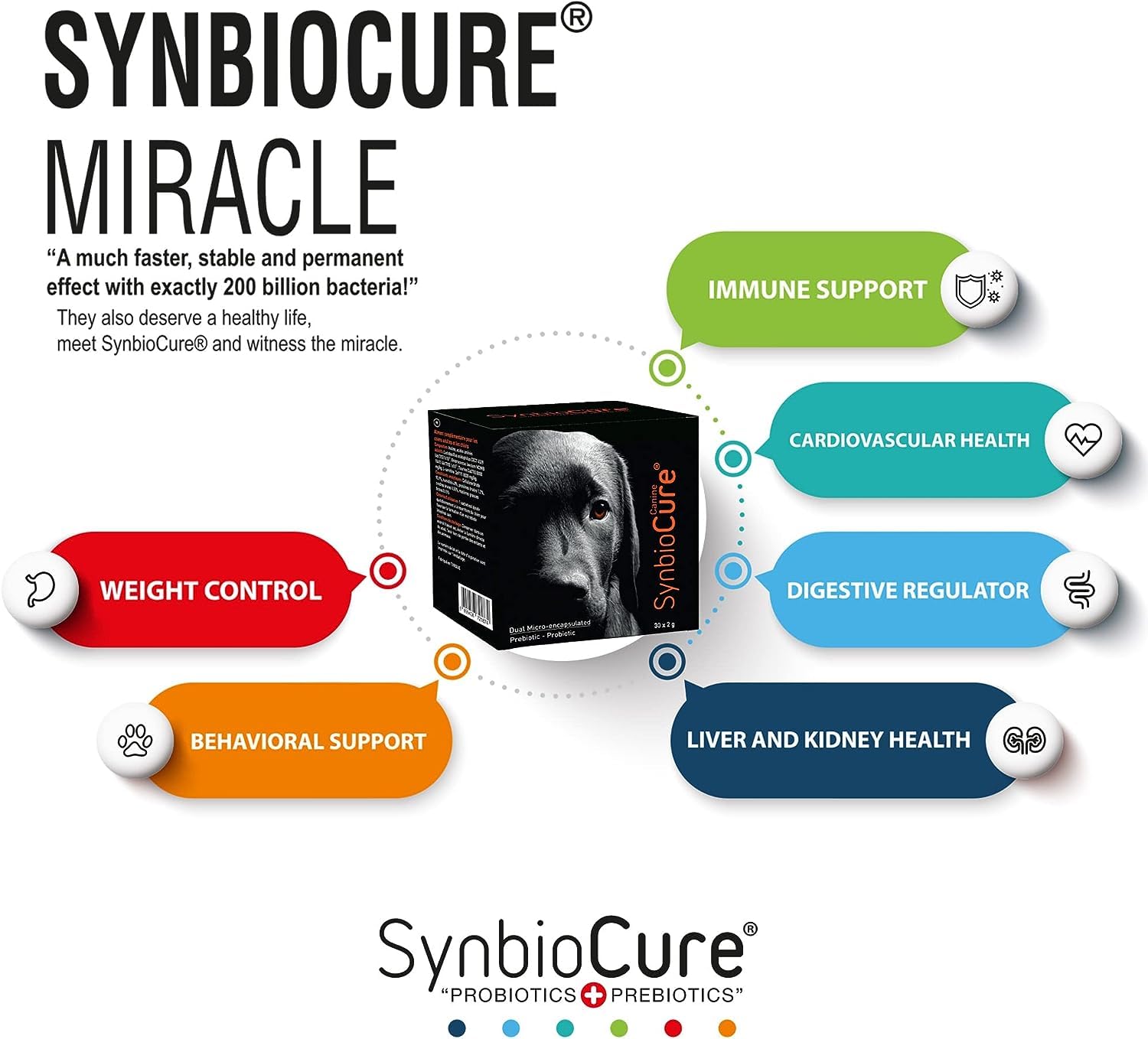 Synbiocure I Probiotics & Prebiotics for Dogs I Powder Dog Supplement I Digestive Health Support I 200 Billion Bacteria Per Sachet I 30 Sachets*2 g