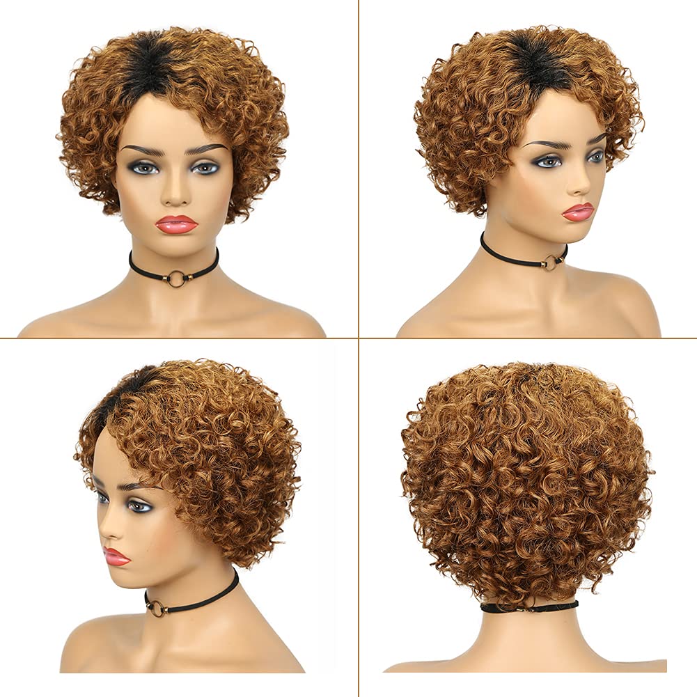 Quantum Love Human Hair Wigs Curly Wave Side Part Wig Short Bob Pixie Cut Brazilian Remy Human Hair Deep Curly None Lace Front Wigs for Women Ombre Black Brown Color
