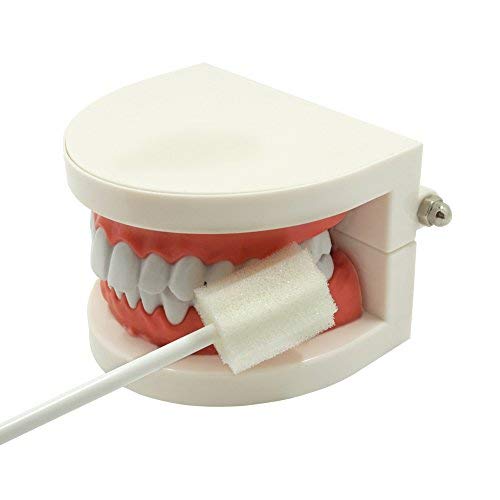 MUNKCARE Oral Swabs Disposable- Untreated and Unflavored Mouth Oral Cleaning Sponge Toothbrushes White 100 Counts