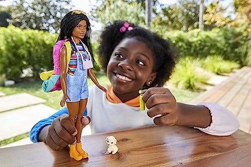 Barbie It Takes Two Doll & Accessories, Brooklyn Camping Playset with Doll, Pet Puppy & 10+ Accessories Including Sleeping Bag