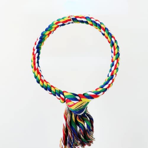 Barn Eleven Bird Swing Perch Cotton Rope Ring Toy Colorful Bird Cage Perches Bite Resistance Perches Toy Suits for African Grey Cockatoos Amazon Parrots Mini Macaws Large Medium Parrot Birds