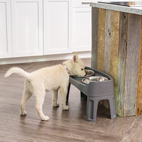 IRIS USA Large Elevated Pet Feeder with Attachable Legs and 2 Stainless Steel Bowls, For Small to Large Dogs Cats with 2 Quart Bowls and 12"H Legs Raised Pet Feeding Station, Dark Gray