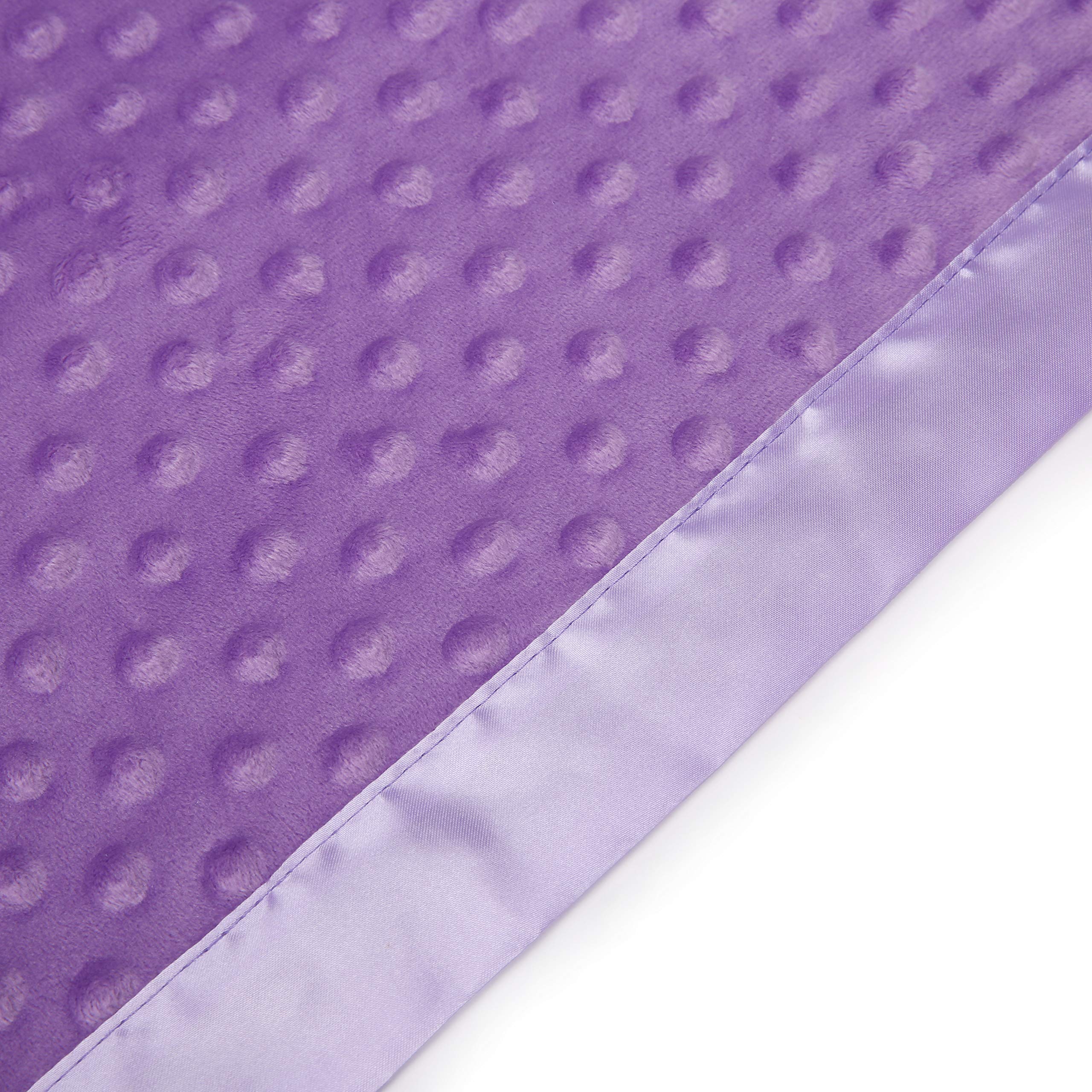 Pro Goleem Baby Soft Minky Dot Blanket with Silky Satin Backing Baby Gifts for Boys and Girls (Purple, 30ββ x 40ββ)